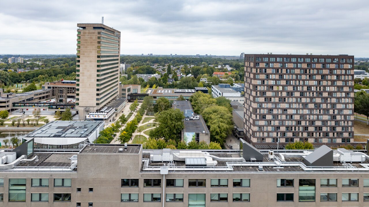 Realising the Opportunity: Libraries in Sustainable Urban Development ...