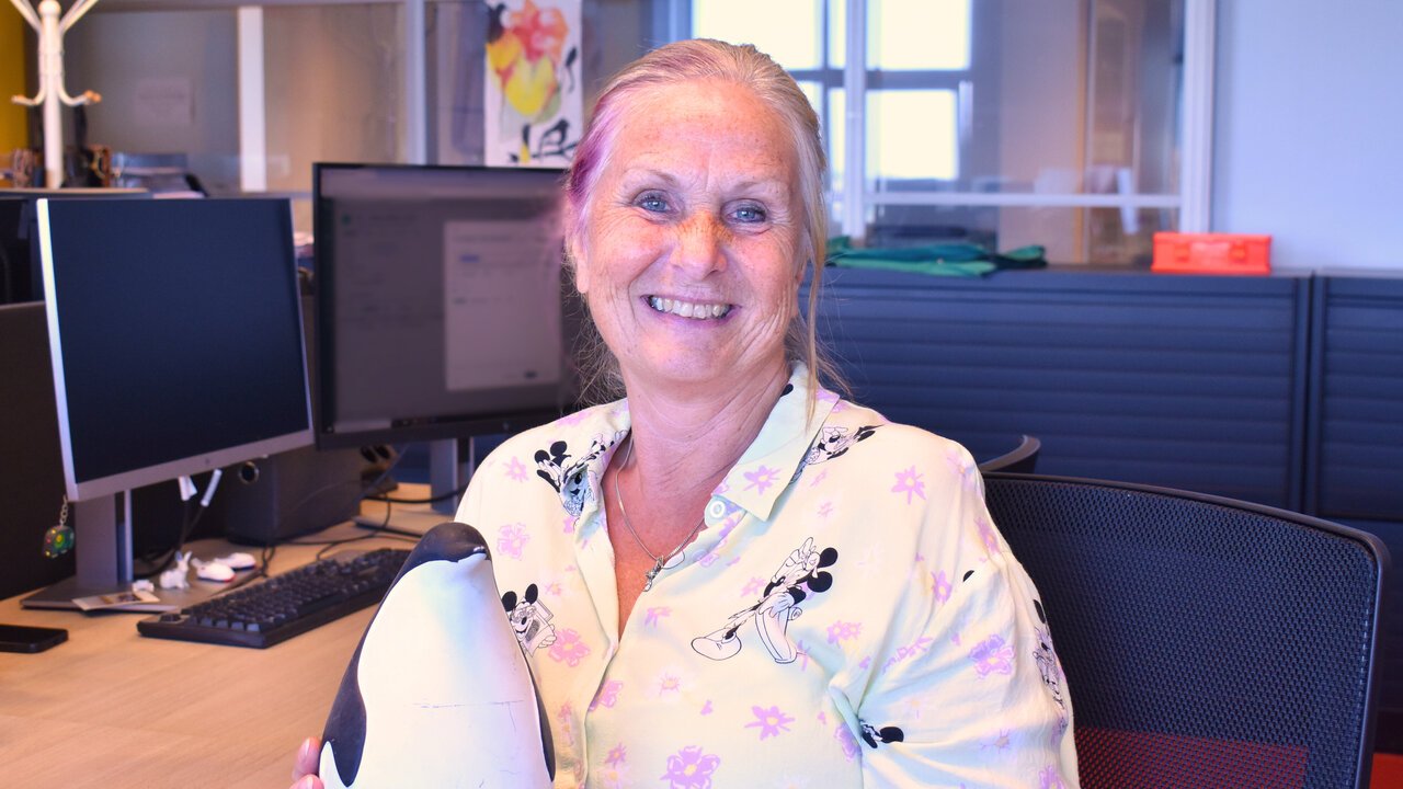 Behind the scenes at IHS | Institute for Housing and Urban Development ...