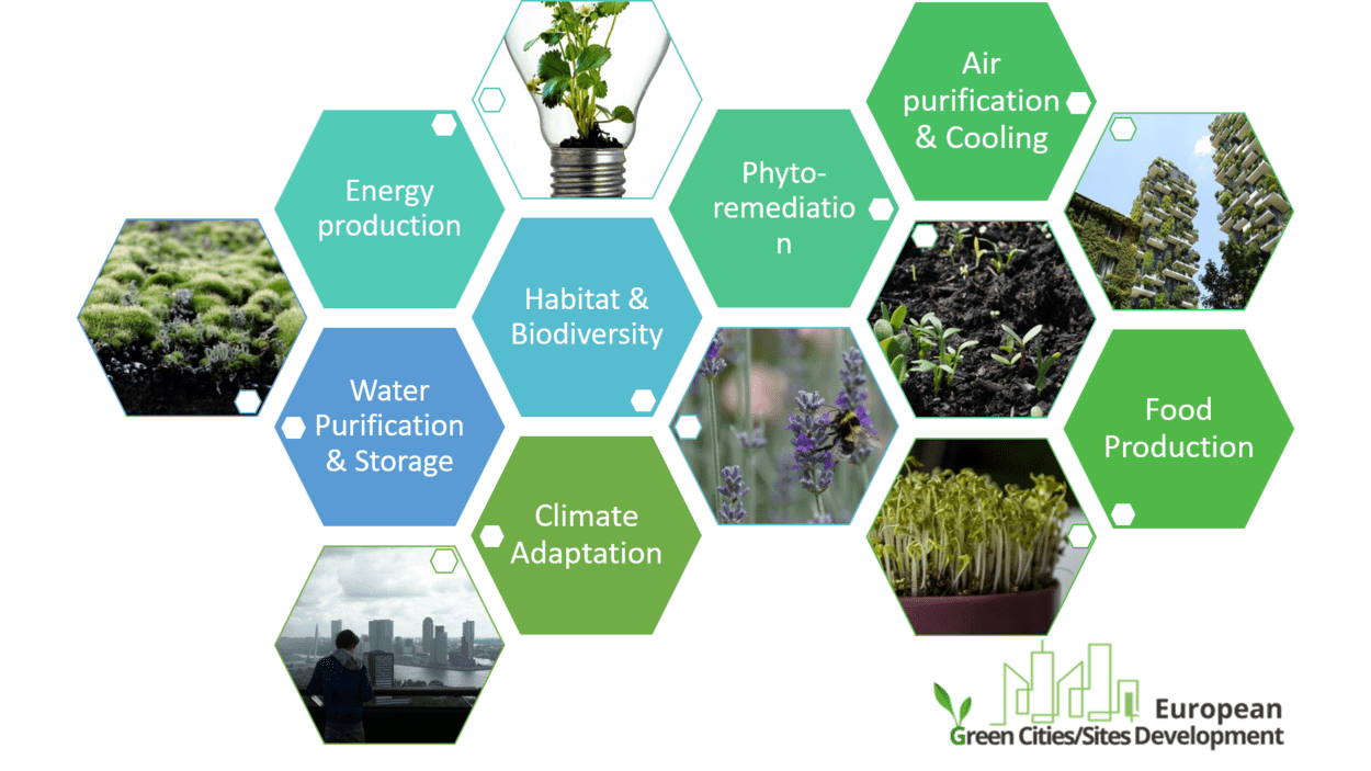 IHS joins European Green Cities Development Foundation | Institute for ...