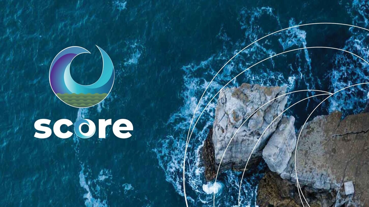 IHS projects | Institute for Housing and Urban Development Studies ...