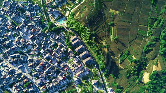 Urban Management and Development | Institute for Housing and Urban ...