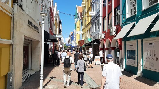 IHS, Institute for Housing and Urban Development Studies | Institute ...