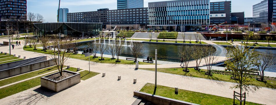 About IHS | Institute for Housing and Urban Development Studies ...